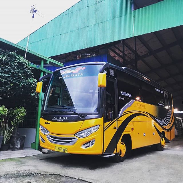 Bus Pariwisata - daltrans travel