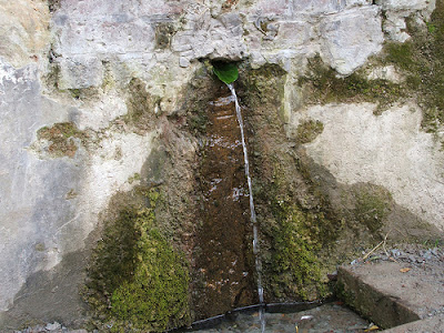 I, too, am here: Chalybeate Water: Loaded with Minerals?