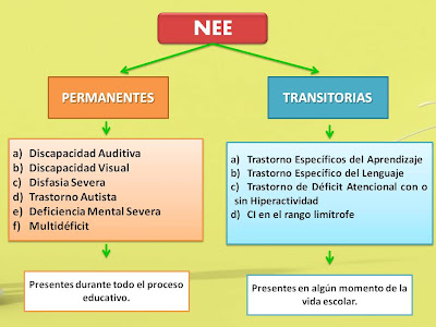 PEDAGOGÍA ONLINE: NEE