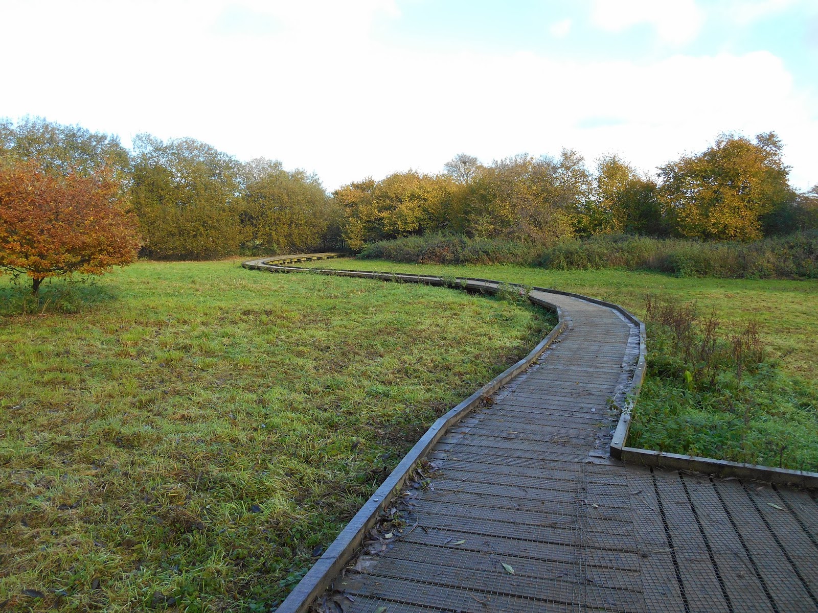Nature Notes and Observations: Testwood Lakes near Totton
