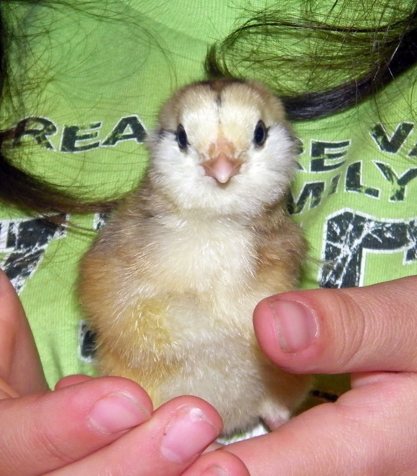 Everyday Becky: Introducing the Van Cluck Sisters