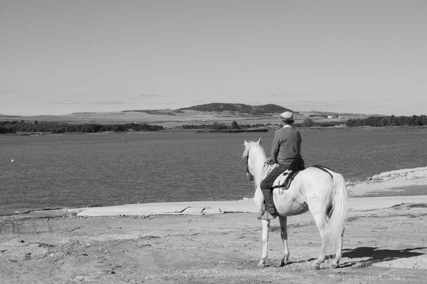 Contemplando el mundo: 7 / 99 Strangers ... {El Jinete}