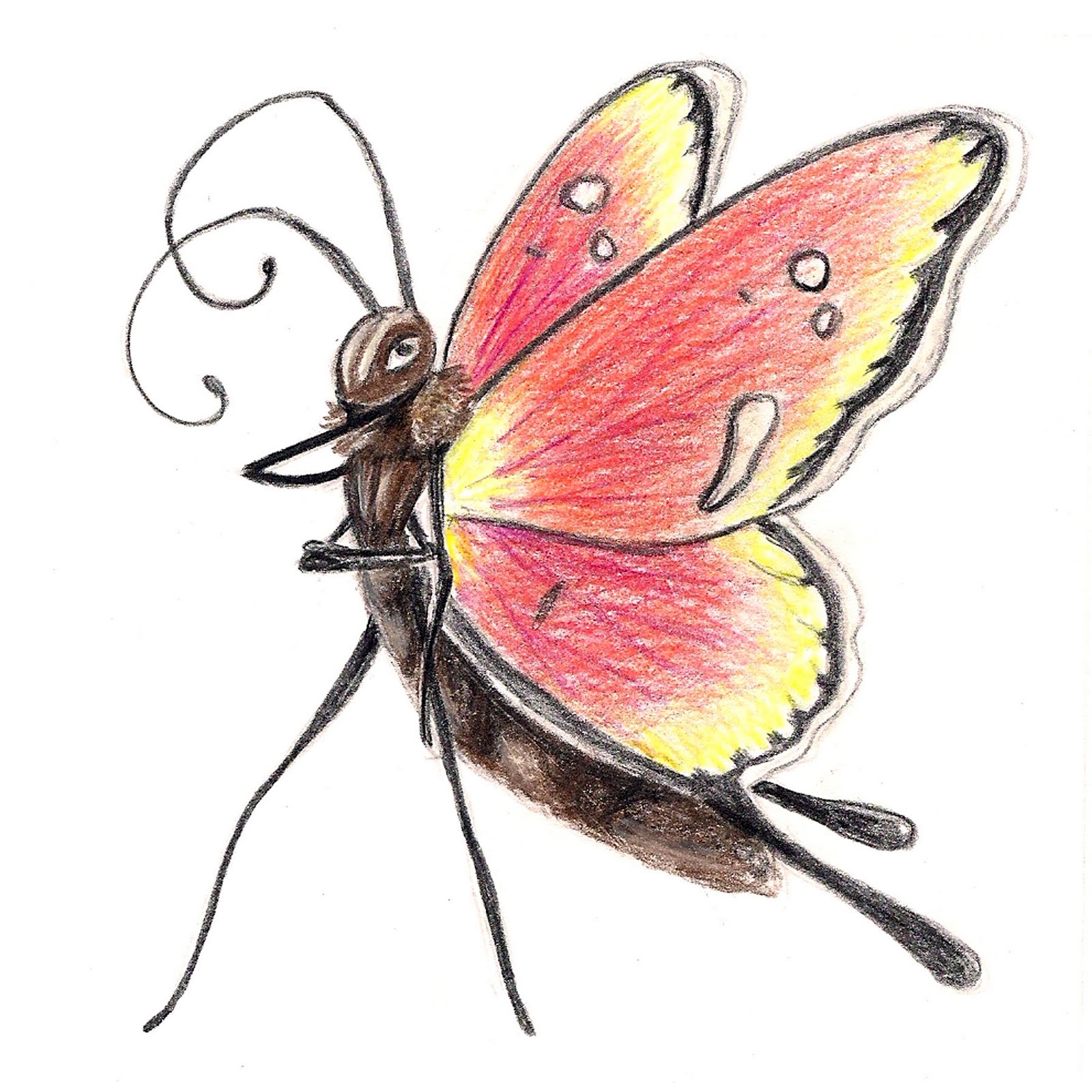 Kate Guthrie: Zodiac Bugs!