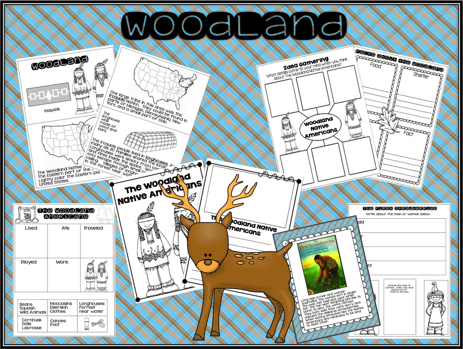 1st Grade Hip Hip Hooray!: Native Americans