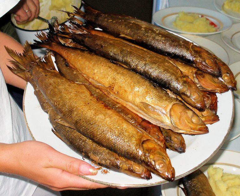 Railway Journeys and other railway articles: Trans-Siberian Part Four ...