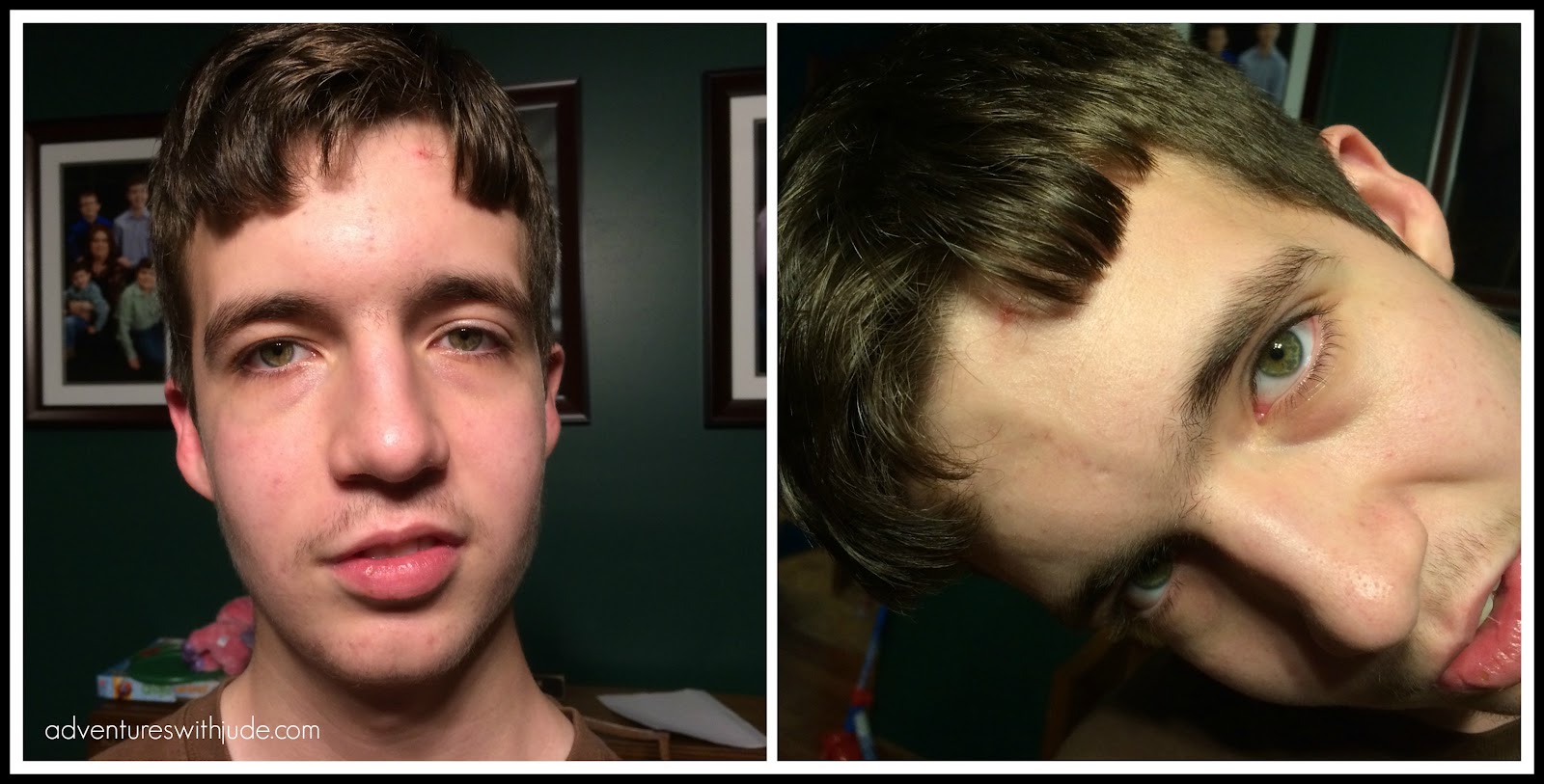 Adventures with Jude: The Great Courses ~ Understanding the Human Body ...