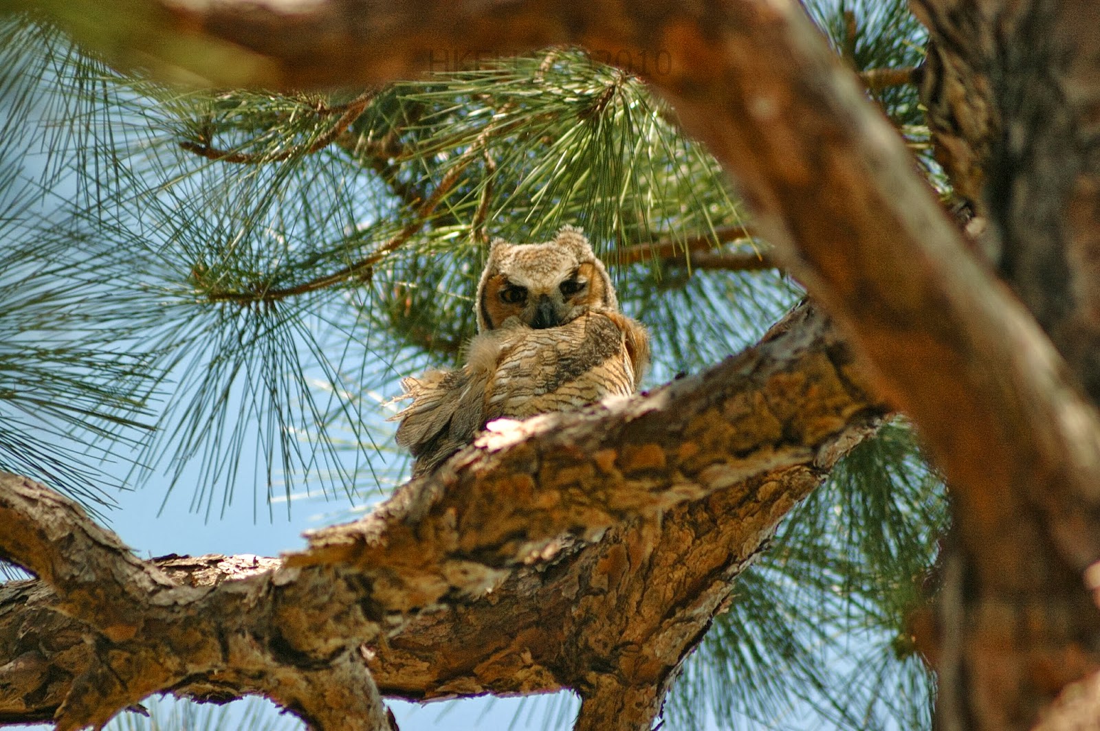 Texas Reflections Photography Journey: Blog posts from the past on ...