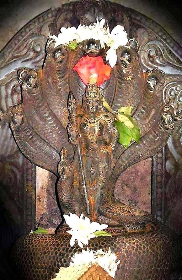 Mayiliragu: Unpopular Aspect of Subrahmanya: The Lord of Sarpa ( Serpents )