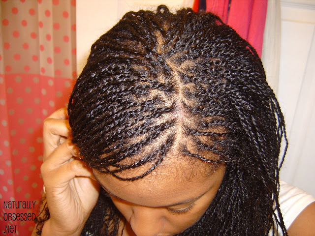 Mini Twist Tutorial - Naturally Obsessed