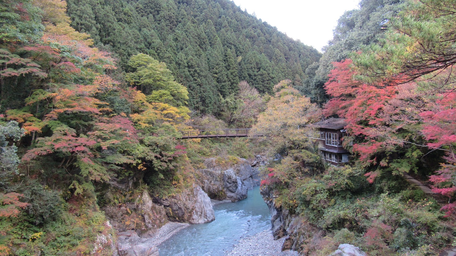 SATOYAMA TOKYO Journey ~Off the beaten track in Tokyo~: SATOYAMA TOKYO ...