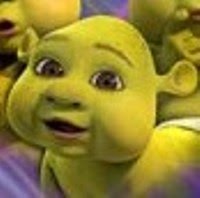 The Seymour-Tisdell-Straubs: Baby Shrek Announcement