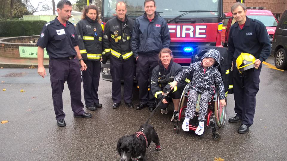 Was this in the Plan?: The day Sherlock made Daisy smile (thanks to the ...