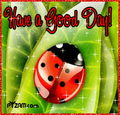 LIFE'S ADVENTURE: Good Morning...