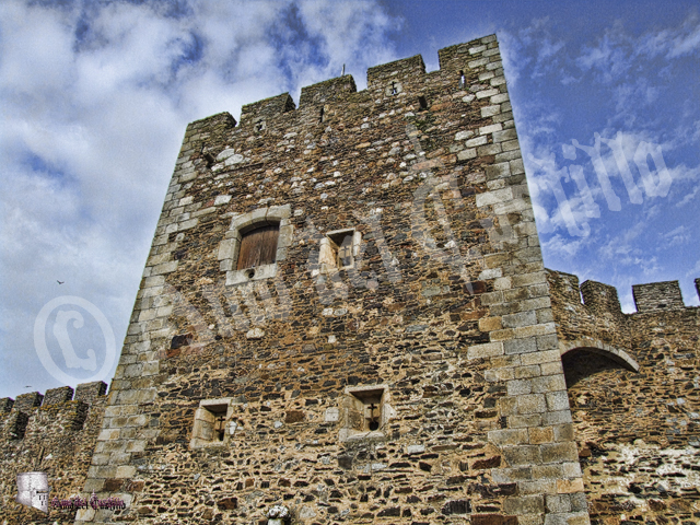 AMO DEL CASTILLO: Partes del castillo: Las torres