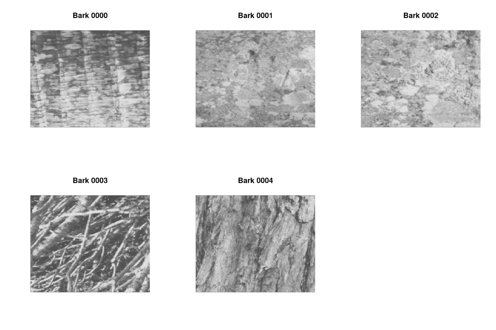 Colored Pixels: Local Binary Patterns as Texture Descriptors