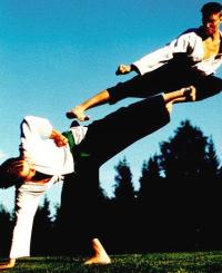 Martial Arts: Theory Of Taido