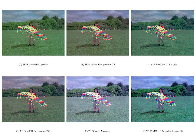 DIY Delver : C41 film in CD3 (RA4 developer)