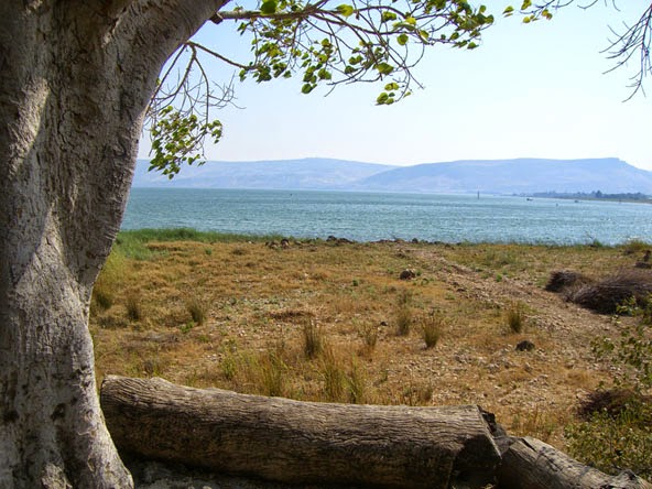 Caminando en Tierra Santa: Mar de Galilea o Lago de Genesaret