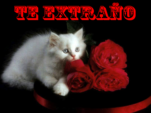 Te extraño gif con movimiento - Imagui