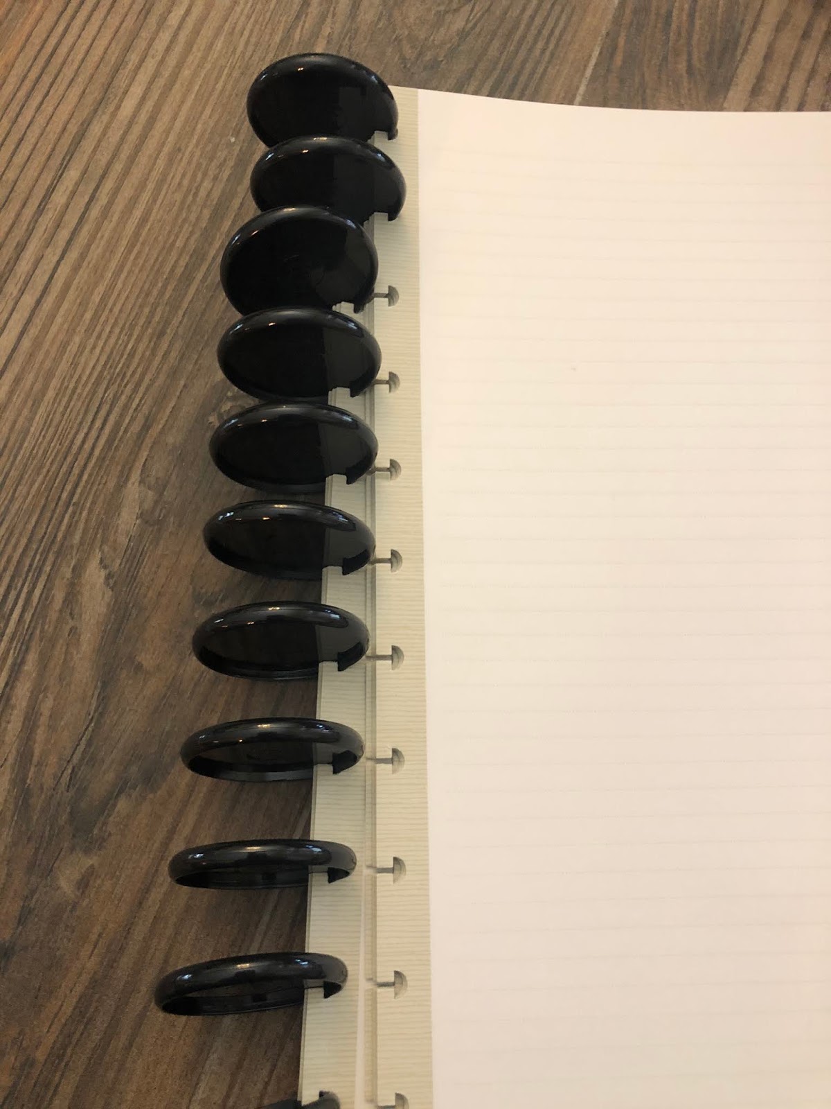 Creating a Disc Binder from Start to Finish - Stephanie McConnell ...