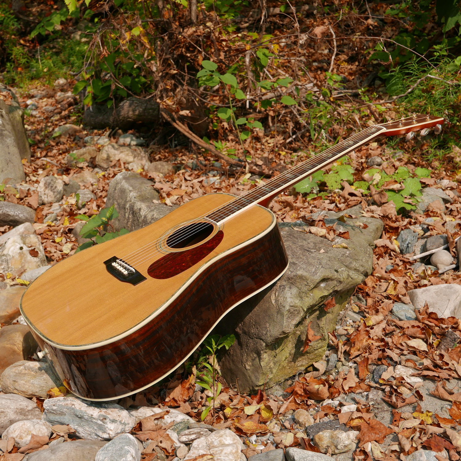 1990s Sigma SDR-41 Dreadnought Guitar