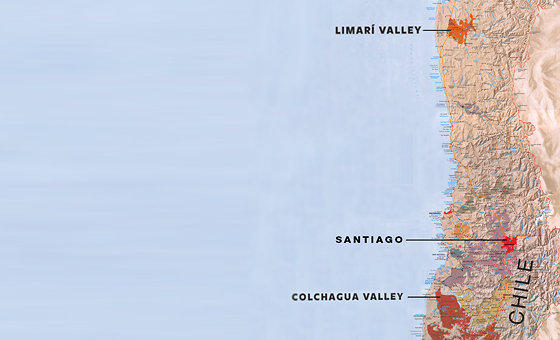 a chef's journey to learn wine: Tabali Reserva Especial Pinot Noir, DO ...