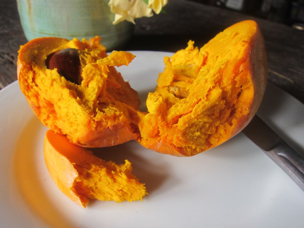 shiatoshi: Egg Fruits Use and its Health Benefits