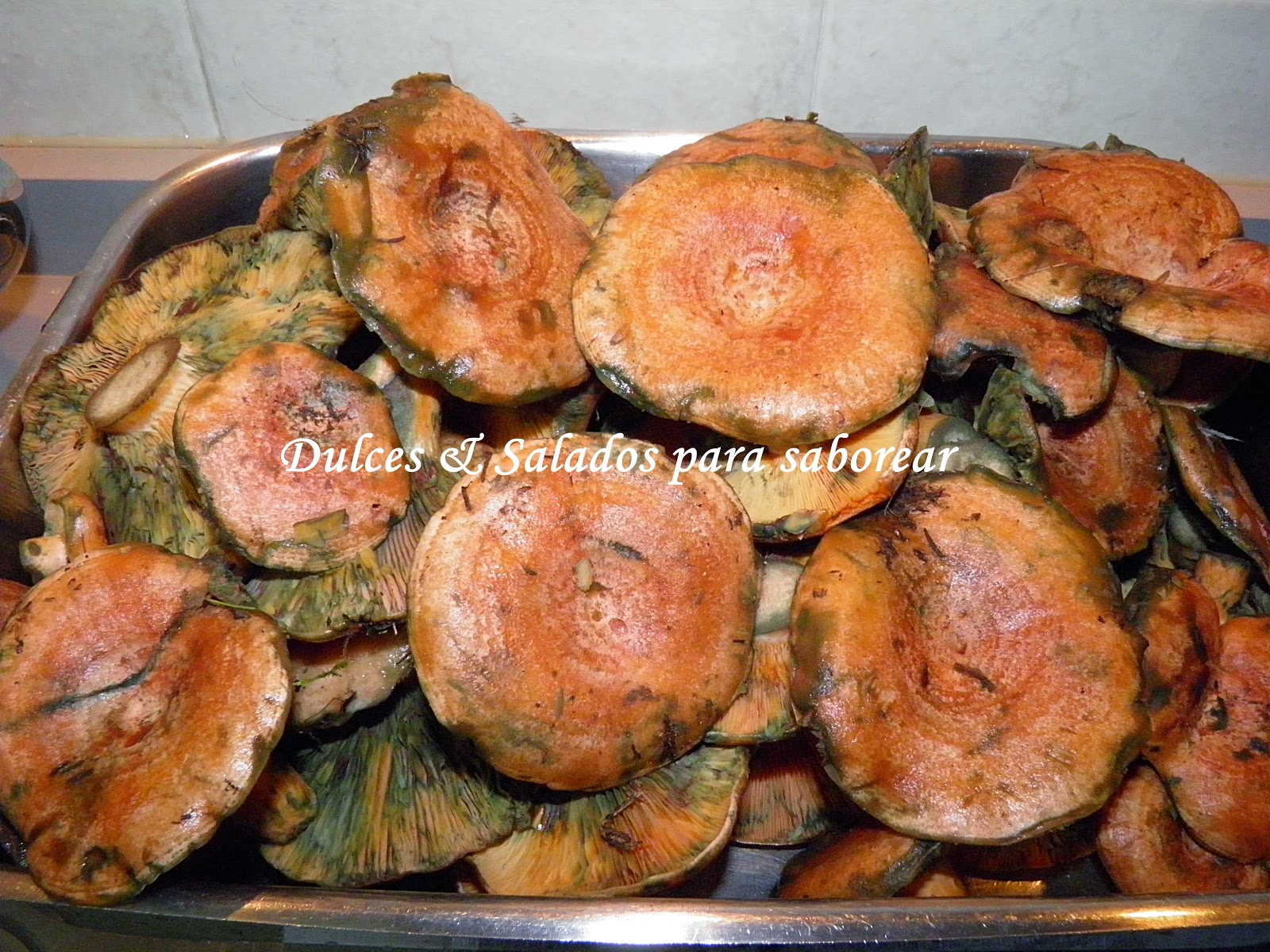 Dulces y Salados para saborear: PASTAS CON NÍSCALOS O ROBELLONS