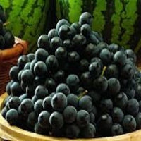 10 Manfaat Mengkonsumsi Anggur Hitam Bagi Kesehatan Ginjal, Jantung ...