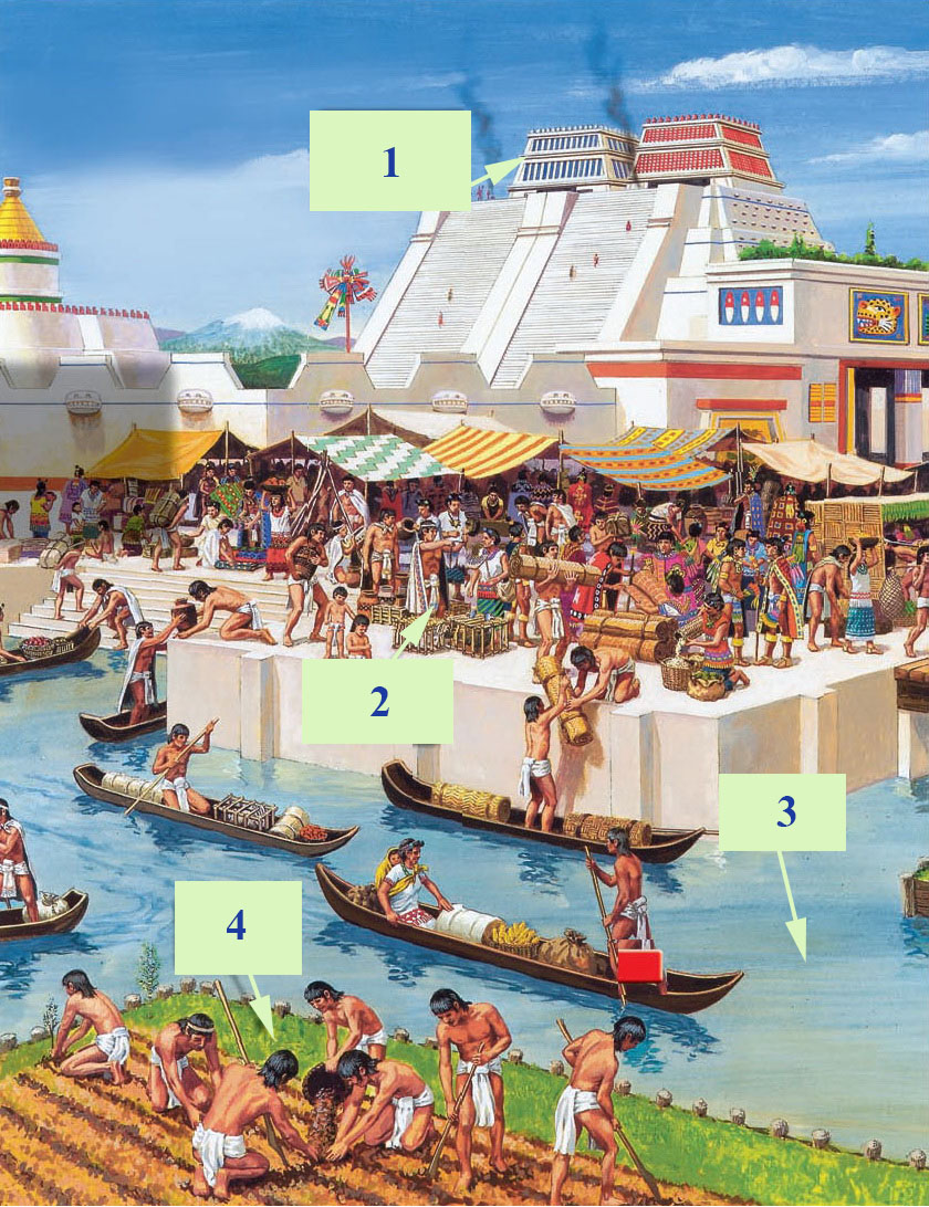 all knowledges/เกร็ดสาระน่ารู้ทั่วโลก: The Aztecs/ชาวแอซเท็ก