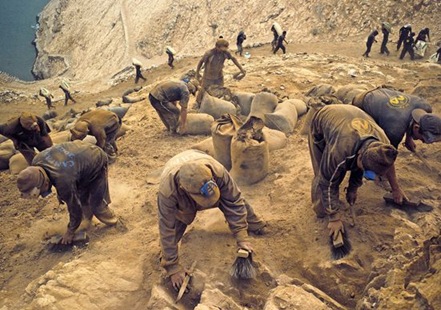 Homo agricola: GUANO Y SALITRE