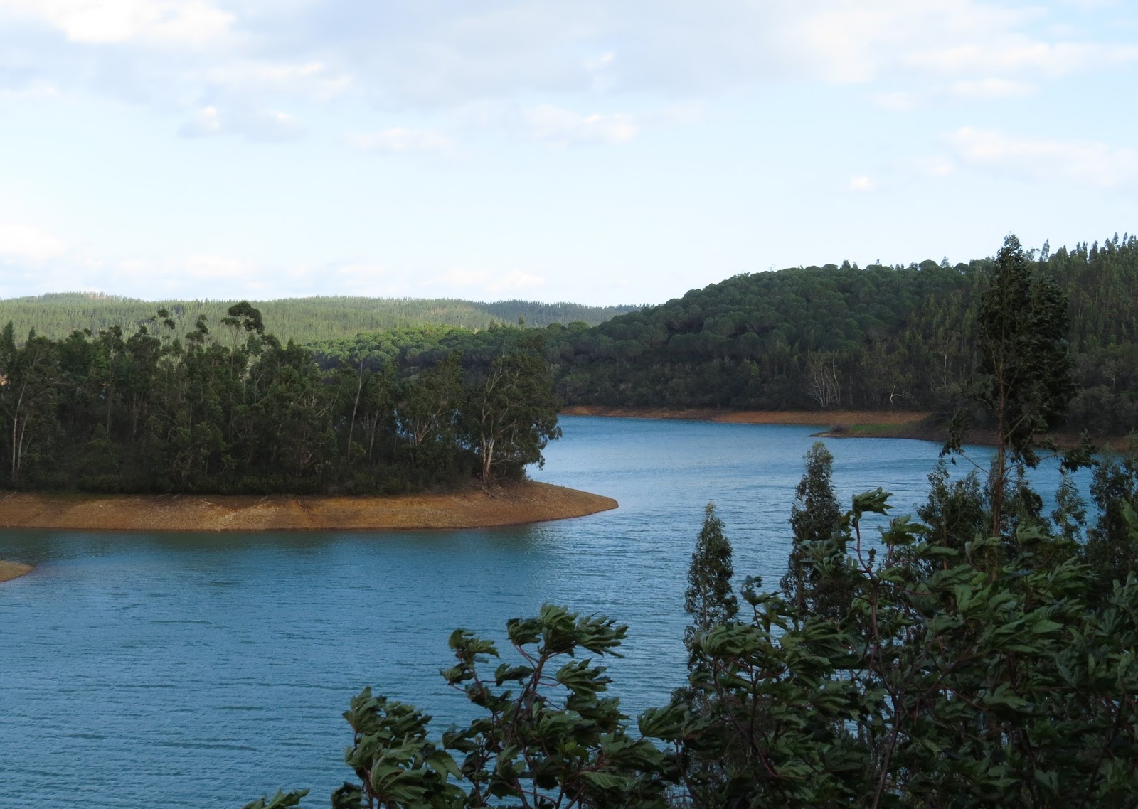 Pixie Birding: Portugal Birding - Monday 15th February 2016 (Day 2 ...