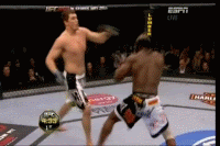 UFC Super Gif Blog: Awesome UFC Gifs Part 6