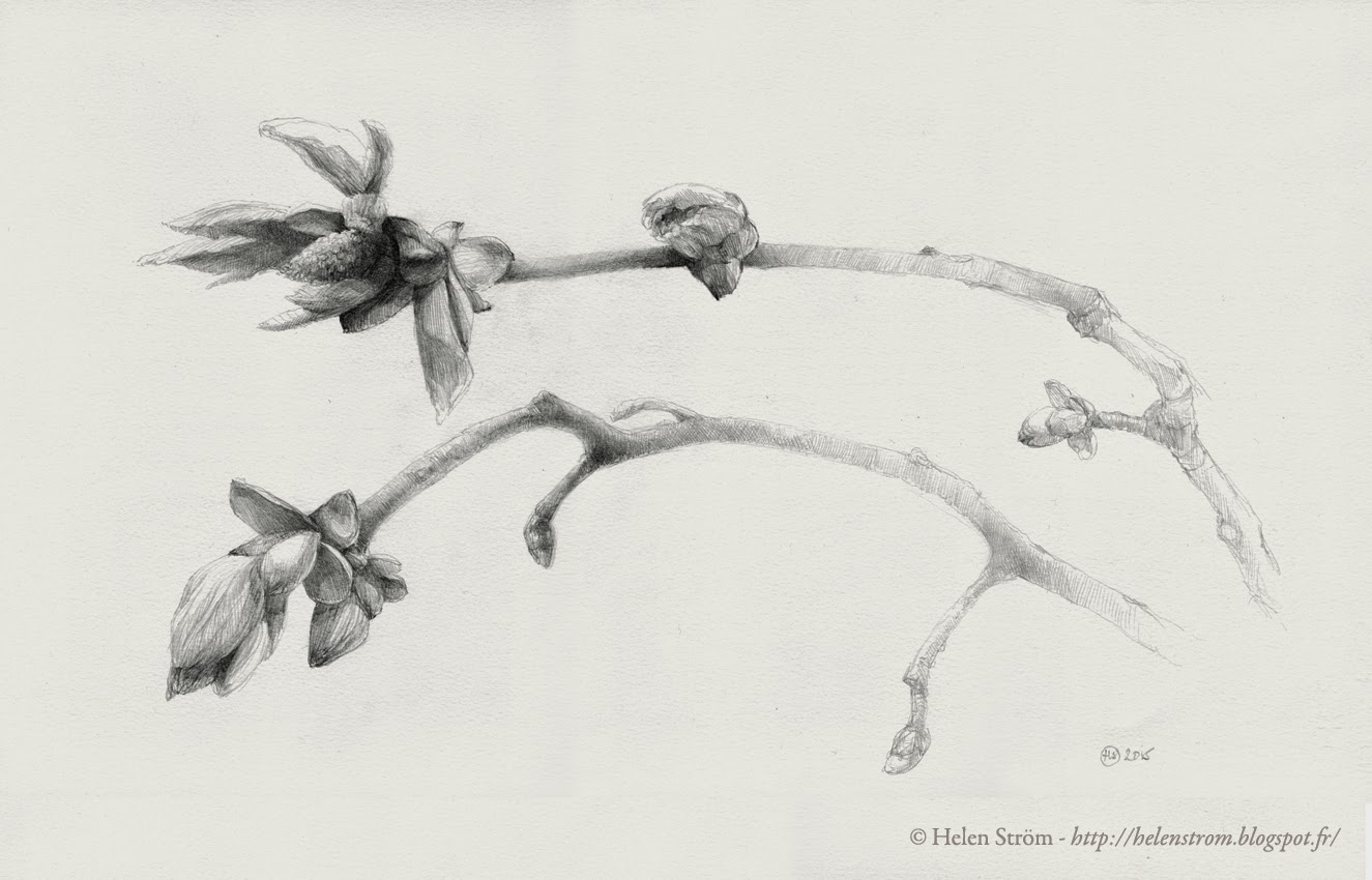 "Signs of spring II"...