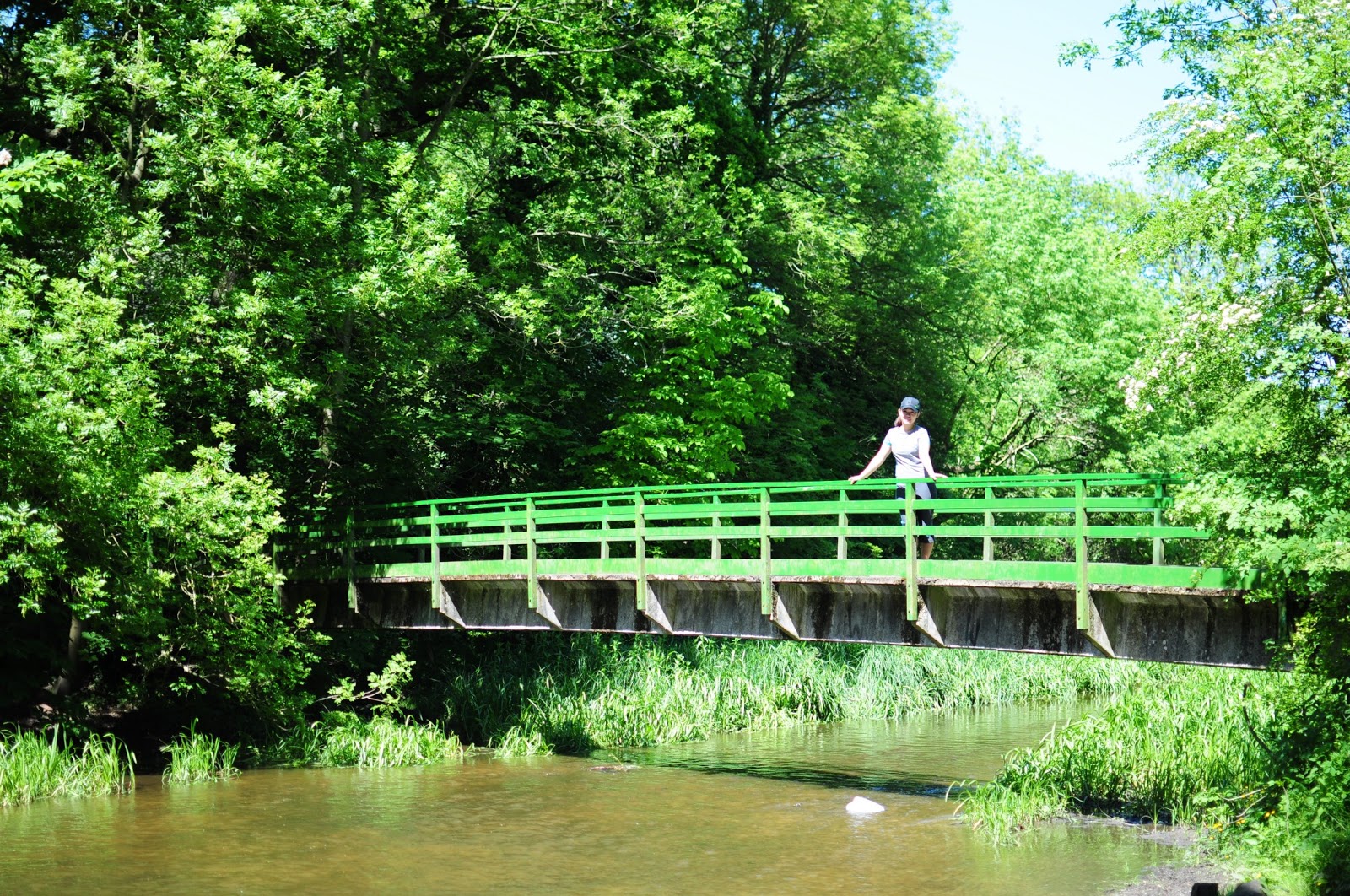 Cassiobury | Park in Watford ~ Charm's Travel Journal