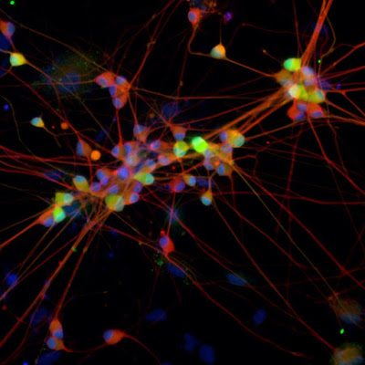 UM JEITO MANSO: De Fred “Rusty” Gage apenas os bonecos