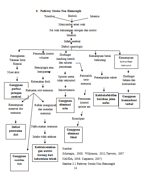 Mahasiswa Keperawatan: Makalah stroke non hemoragik