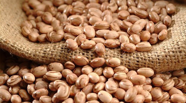 Feijão nosso de cada dia