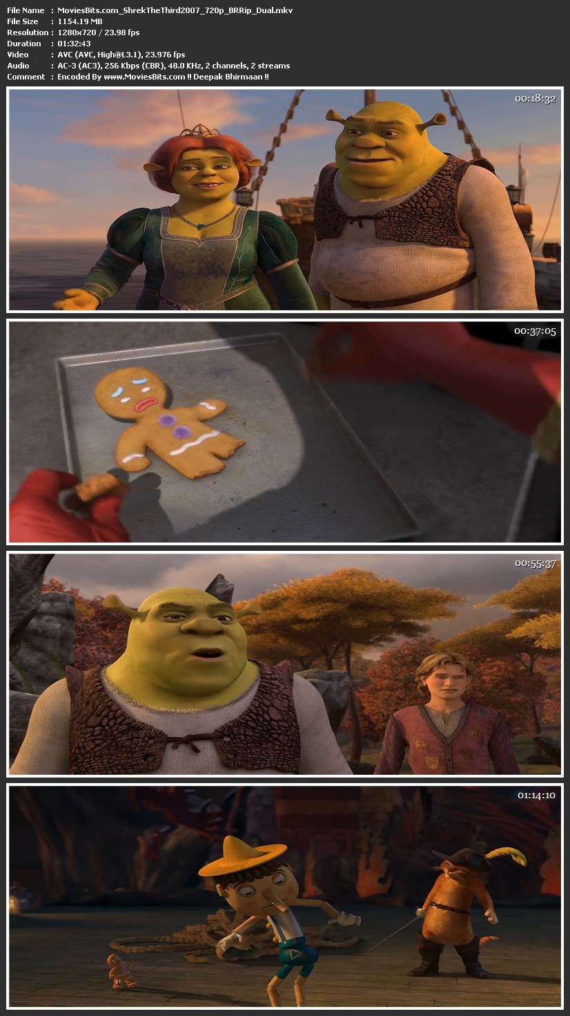 Shrek The Third Dual Audio 720p Hd
