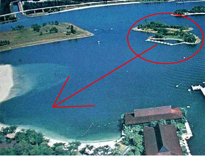 Disney Avenue: The Story Behind Walt Disney World's Infamous Wave Machine