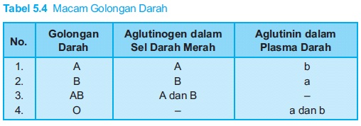 Penggolongan Darah Berdasarkan Aglutinogen ( Sistem ABO ) | Paramita Blog