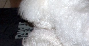 silvieon4: Tickle tickle tickle, STOP, no , don't stop...