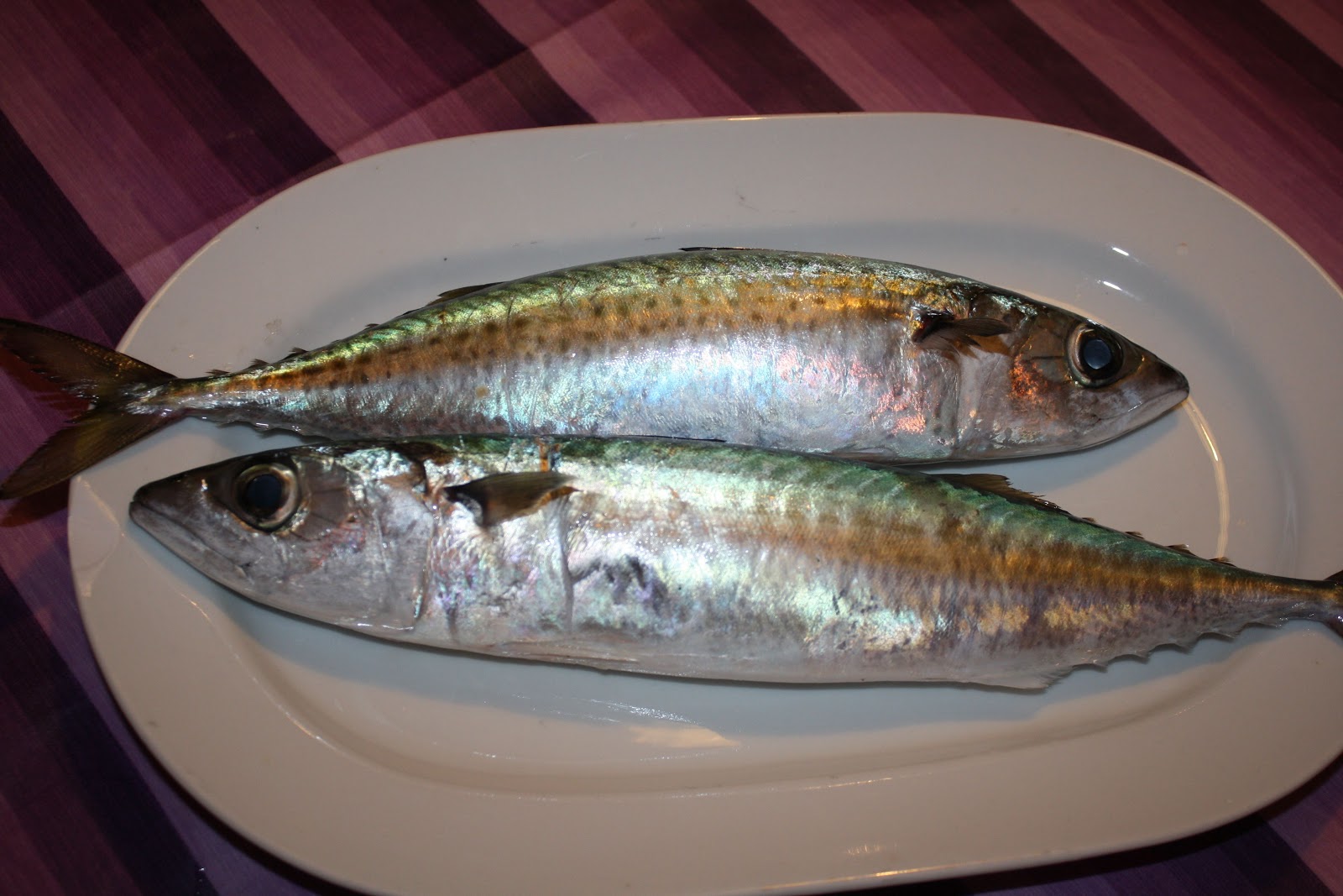 La Cuciniera Moderna: Ricette sgombri: in umido con i piselli