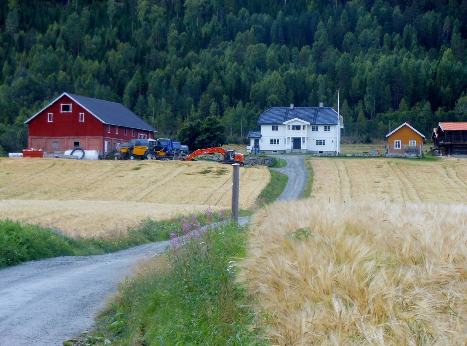 Genealogy is an Obsession: EGGEDAL NORWAY--THE ENGER CONNECTION