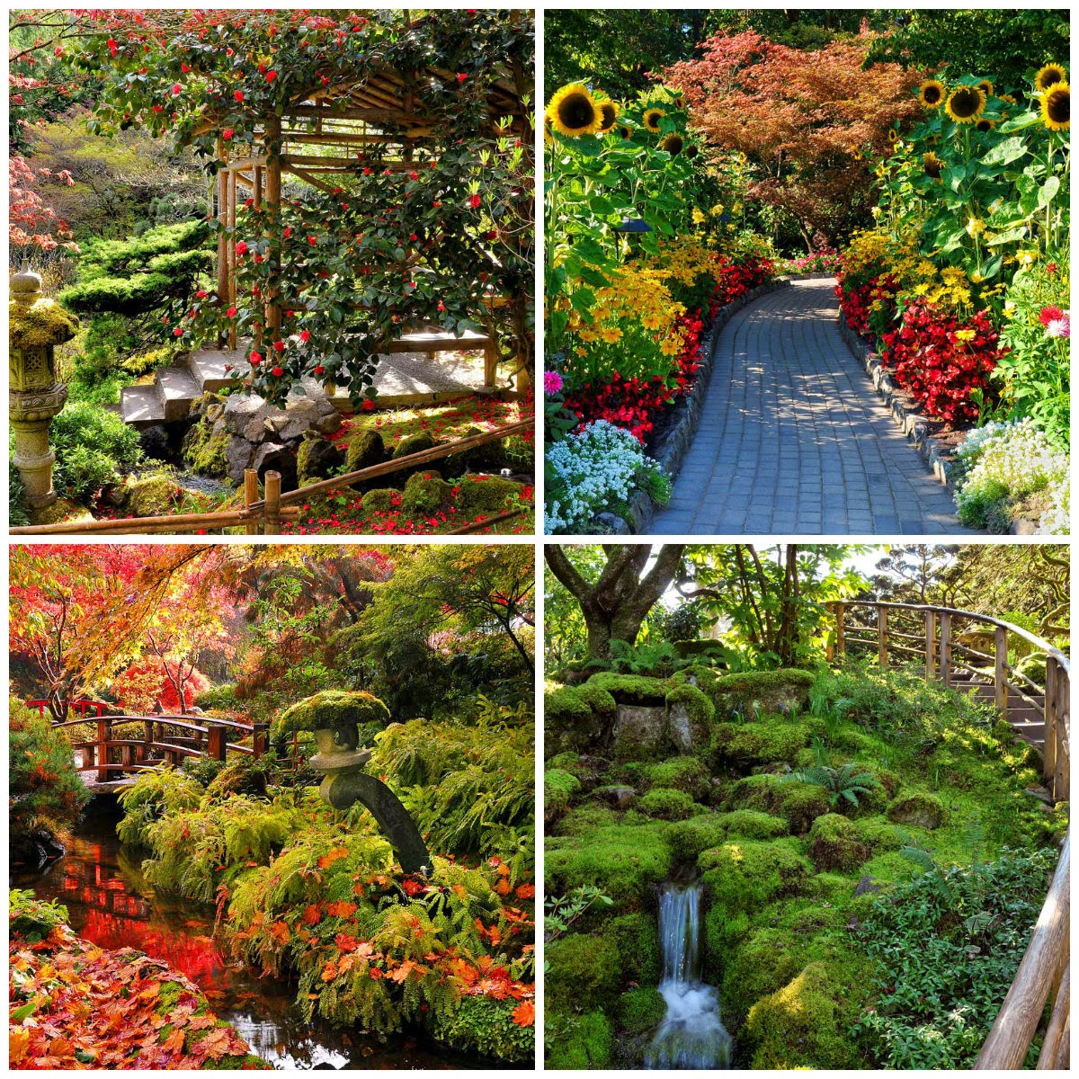 MUSINGS: THE CURATED GARDEN: A MUSEUM?