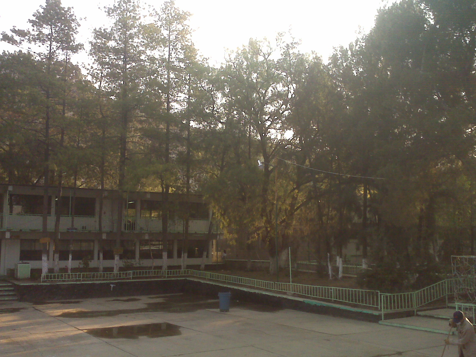 E.S.T.I.C. 57 MARIANO AZUELA TM: CONOCE LA E.S.T.I.C. No. 0057 MARIANO ...