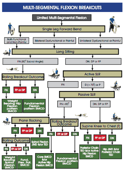 Direct Performance Physical Therapy Blog: New Clinical Prediction Rule ...