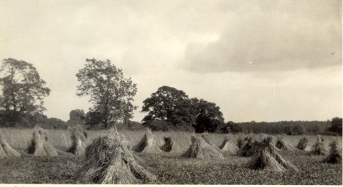 A Carefully Loaded Ship: WASHBURN ANCESTRAL PHOTOS - England