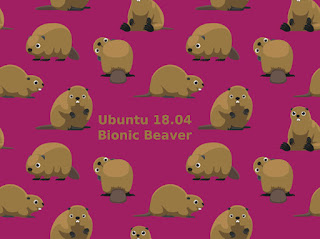 I love ubuntu!: UBUNTU 18.04 BIONIC BEAVER WALLPAPERS!!!!