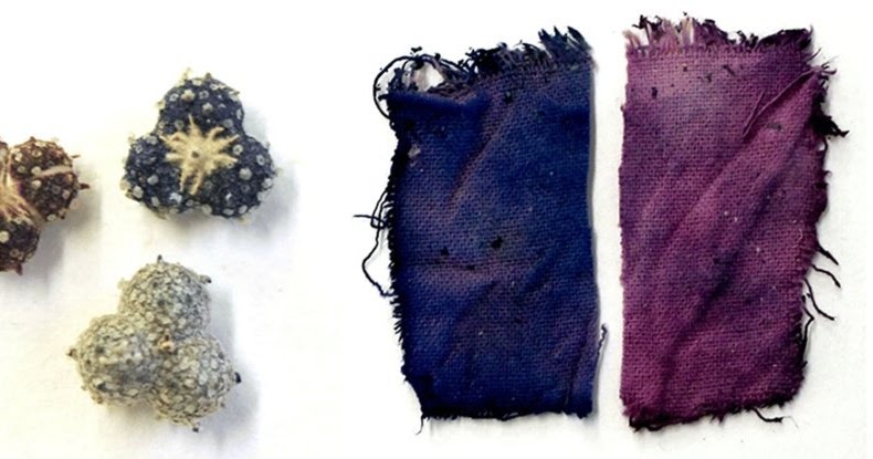 The birth of Modern Man: Scientists Discover a New Compound in Medieval ...